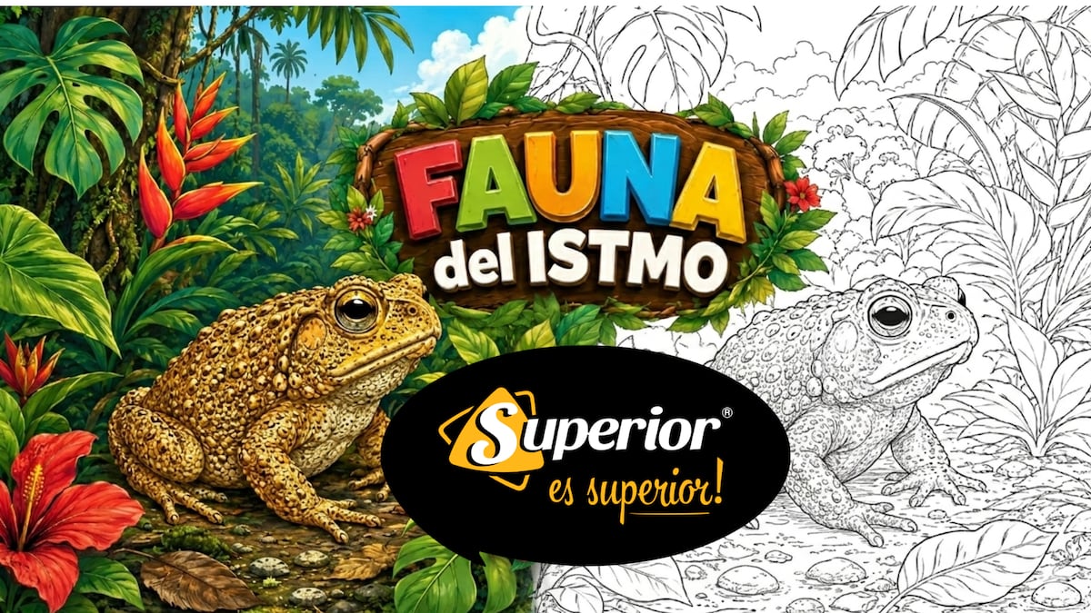 Mi Diario trae la lámina del sapo en ‘Fauna del Istmo’: colorea y ...