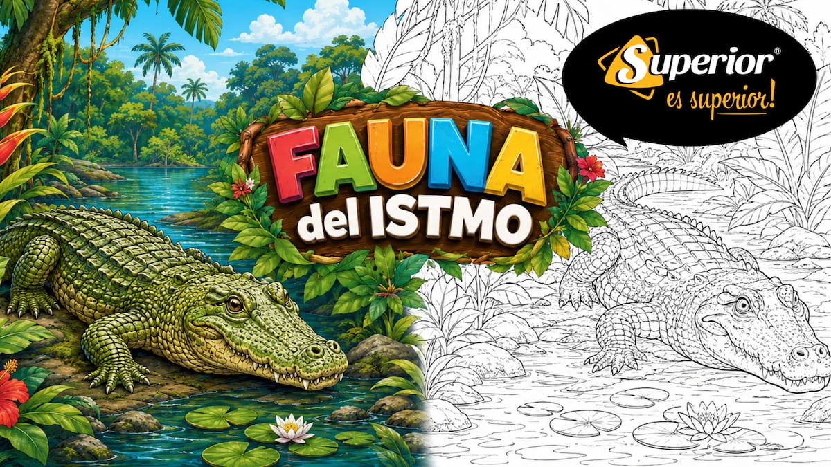 El cocodrilo aparece en ‘Fauna del Istmo’: Mi Diario trae una lámina ...
